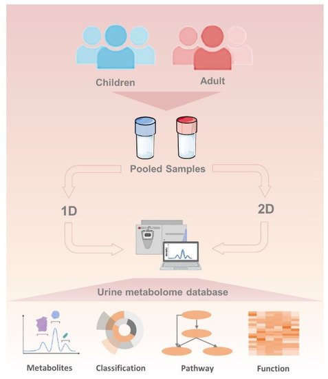 A Comprehensive 2D-LC/MS/MS Profile of the Normal Human Urinary Metabolome