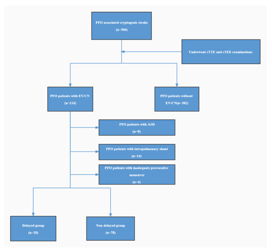 Pitfalls of Using Imaging Technique in the Presence of Eustachian Valve ...
