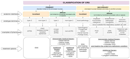 Perspectives in Therapy of Chronic Rhinosinusitis
