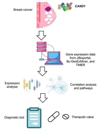 Diagnostics | Free Full-Text | Bioinformatics Analysis of the ...