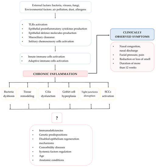 Immunological Aspects of Chronic Rhinosinusitis
