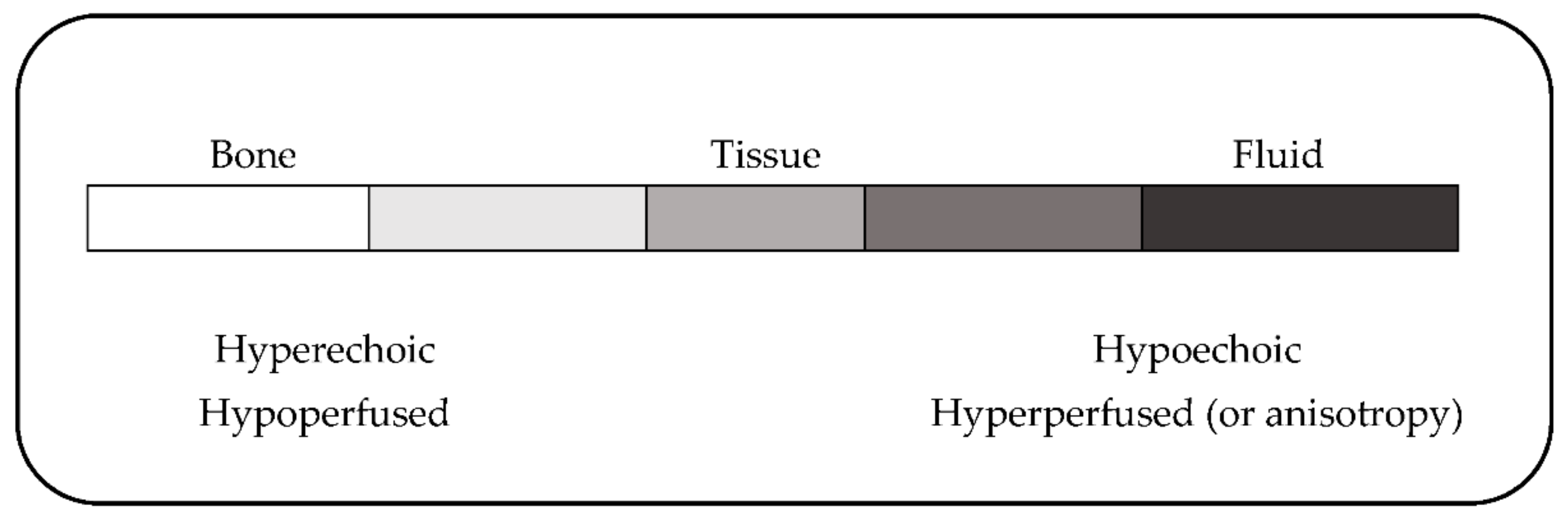 Trigger Points and Contracture/Contraction Knots: What’s in a Name ...