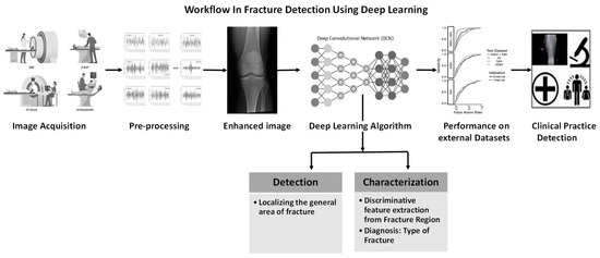 Deep Learning Assisted Detection And Segmentation Of Rib 52 Off
