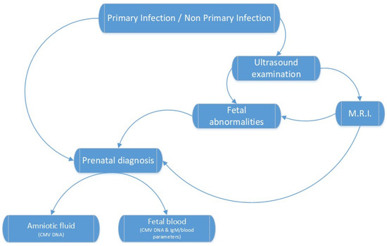 Diagnostics | Free Full-Text | An Overview of Cytomegalovirus Infection ...