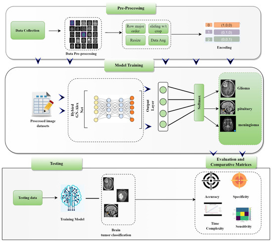 Classification Framework for Medical Diagnosis of Brain Tumor with an ...