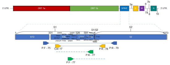 A Simplified Sanger Sequencing Method for Detection of Relevant SARS ...