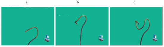 Diagnostics | Free Full-Text | Investigation of the New Advantages of ...