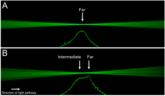 Visualization of Ray Propagation through Extended Depth-of-Focus ...