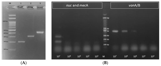 Development of a Multiplex Polymerase Chain Reaction-Based DNA Lateral Flow Assay as a Point-of ...