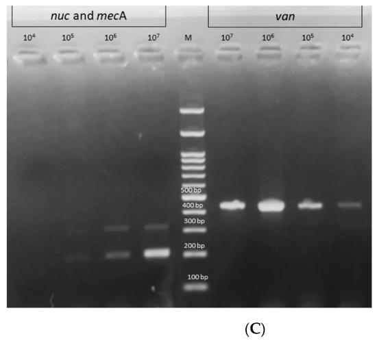 Development of a Multiplex Polymerase Chain Reaction-Based DNA Lateral ...