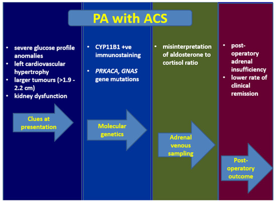 The Entity of Connshing Syndrome: Primary Aldosteronism with Autonomous ...