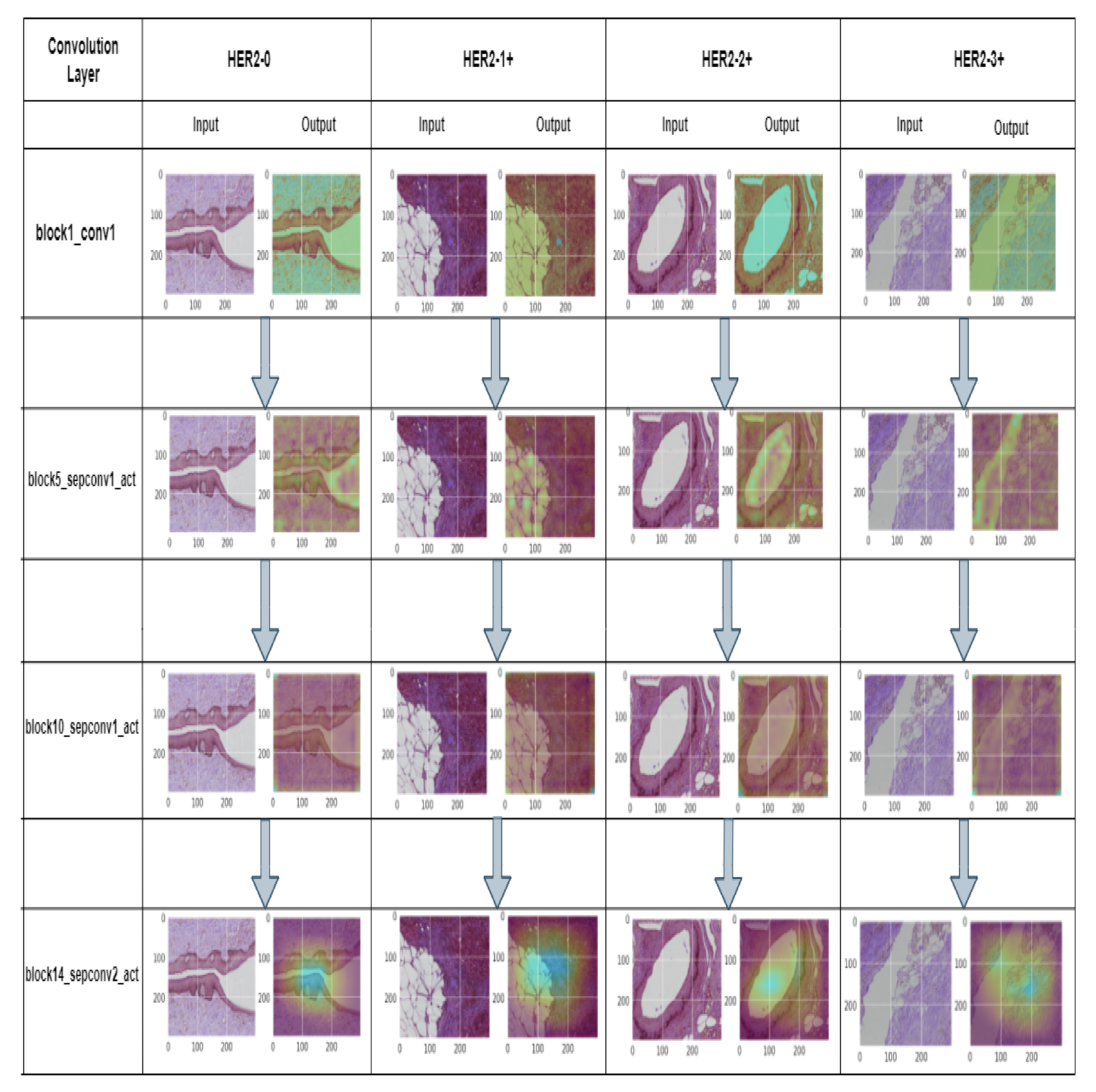 Strategies for Enhancing the Multi-Stage Classification Performances of ...