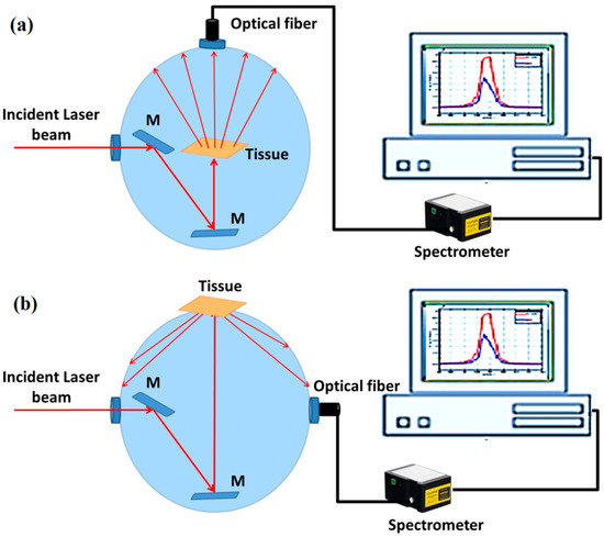 Optical Characterization of Biological Tissues Based on Fluorescence ...