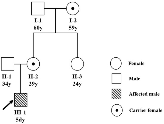 A Novel Deletion Mutation of the F8 Gene for Hemophilia A
