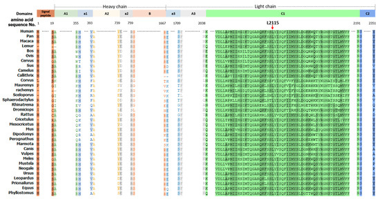 A Novel Deletion Mutation of the F8 Gene for Hemophilia A