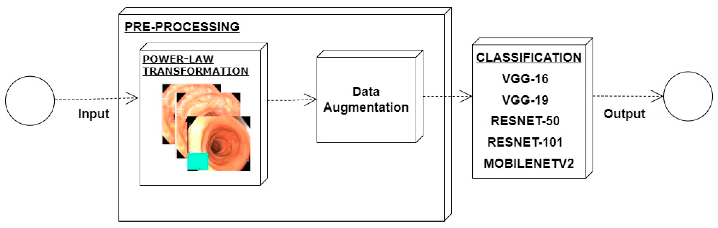 Robust Ulcer Classification: Contrast and Illumination Invariant Approach