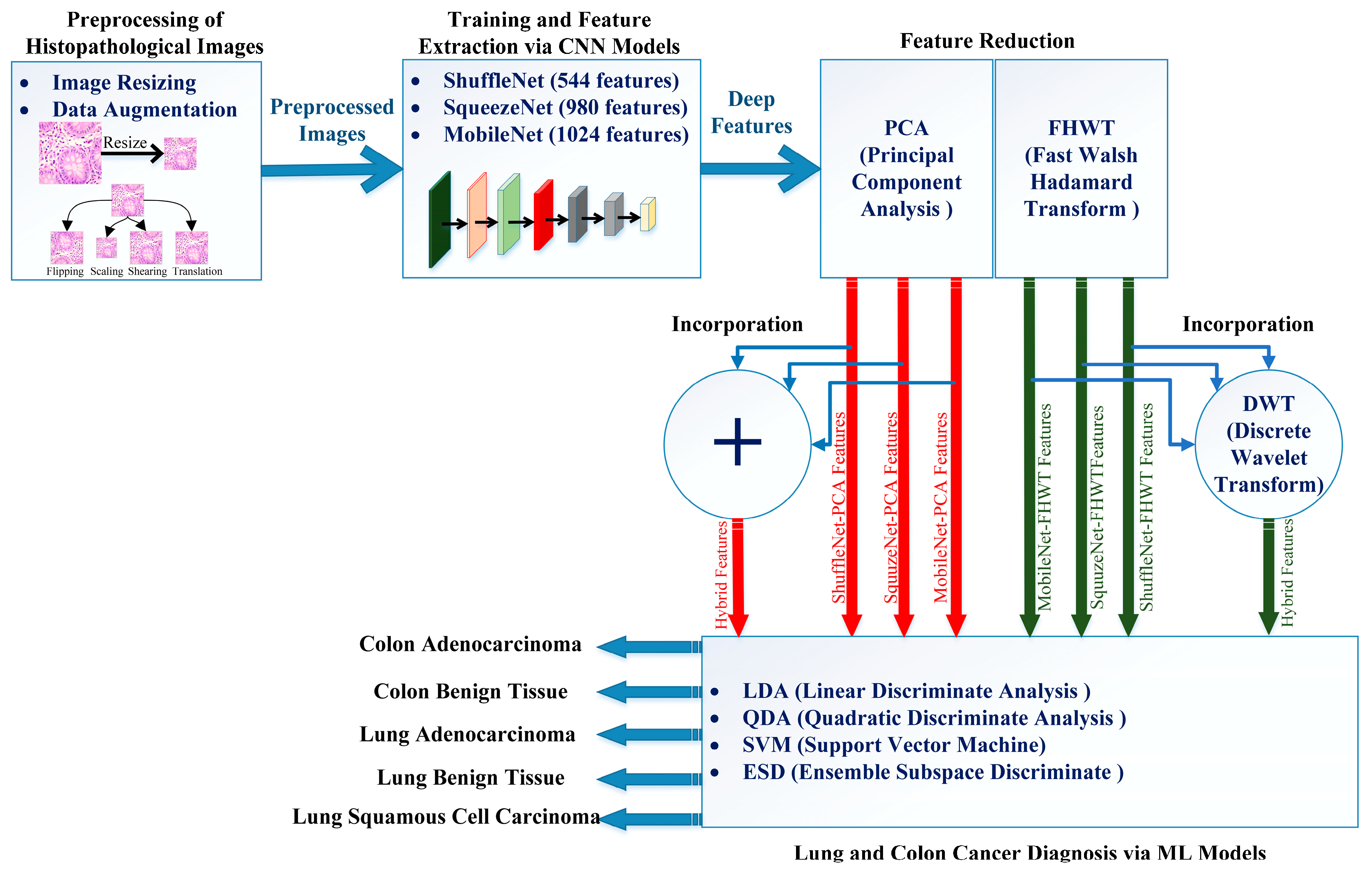 Diagnostics | Free Full-Text | A Framework for Lung and Colon Cancer ...
