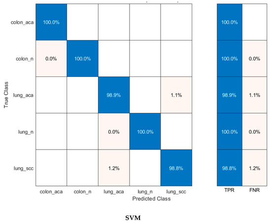 Diagnostics | Free Full-Text | A Framework for Lung and Colon Cancer ...