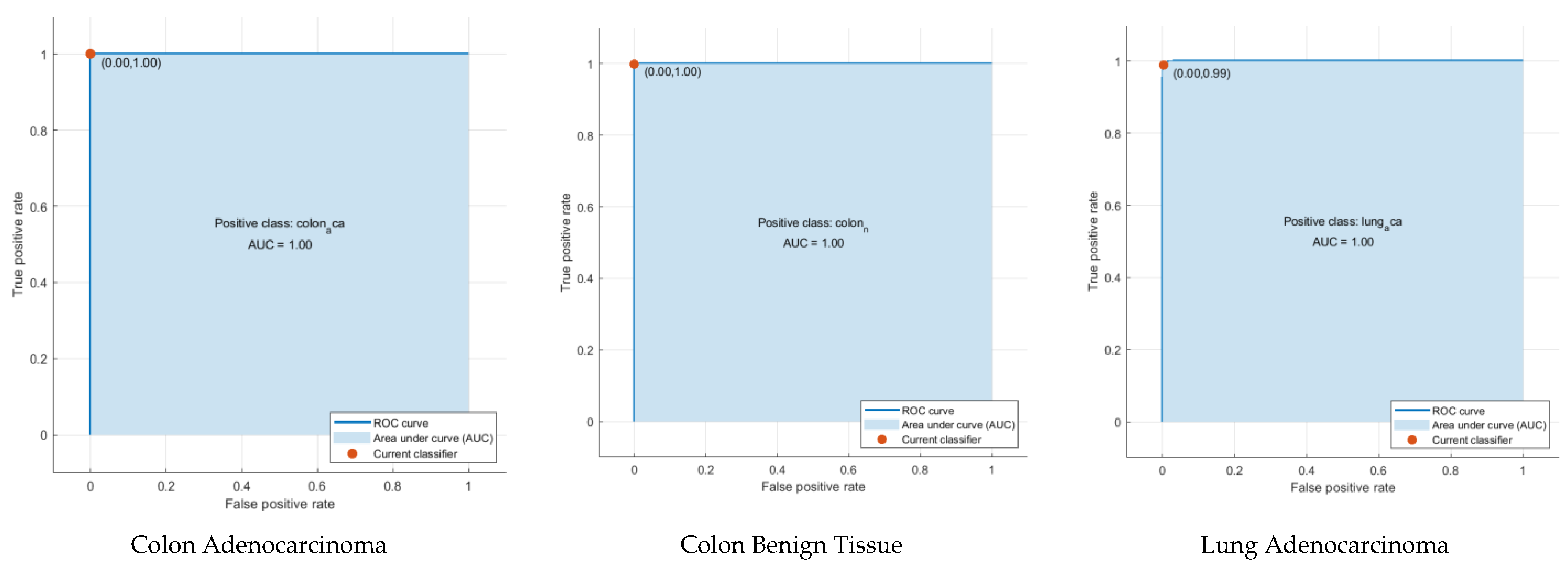 Diagnostics | Free Full-Text | A Framework for Lung and Colon Cancer ...