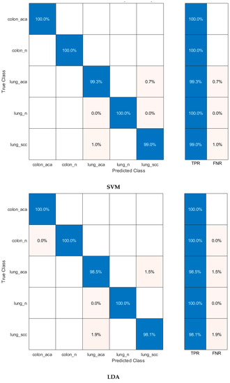 Diagnostics | Free Full-Text | A Framework for Lung and Colon Cancer ...