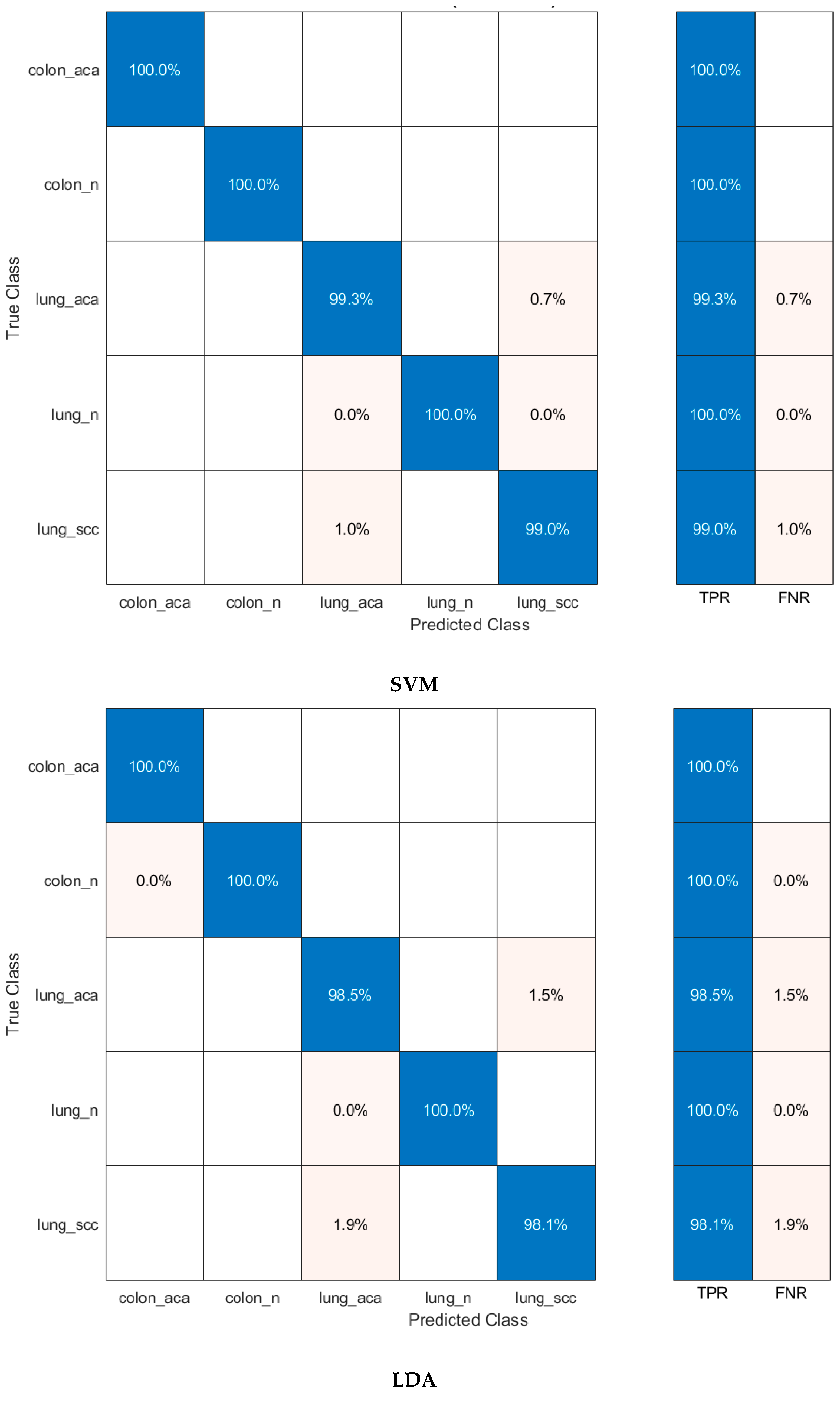 Diagnostics | Free Full-Text | A Framework for Lung and Colon Cancer ...