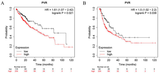 Diagnostics | Free Full-Text | PVR—A Prognostic Biomarker Correlated ...