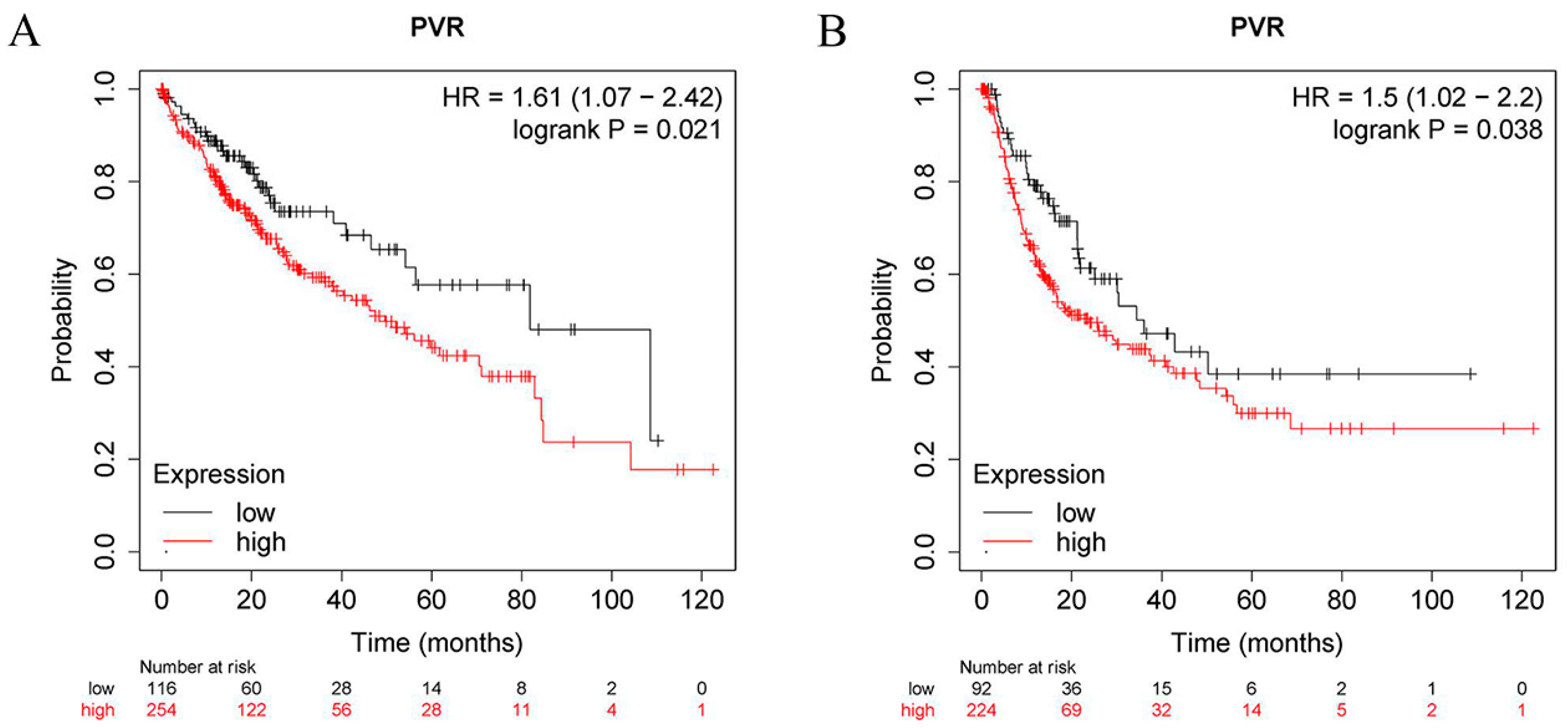 Diagnostics | Free Full-Text | PVR—A Prognostic Biomarker Correlated ...