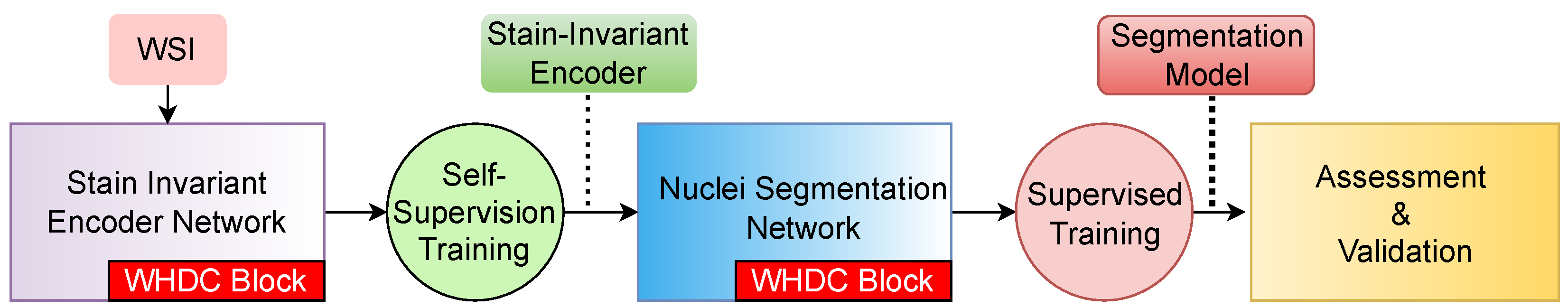 Diagnostics | Free Full-Text | Efficient Staining-Invariant Nuclei Segmentation Approach Using ...