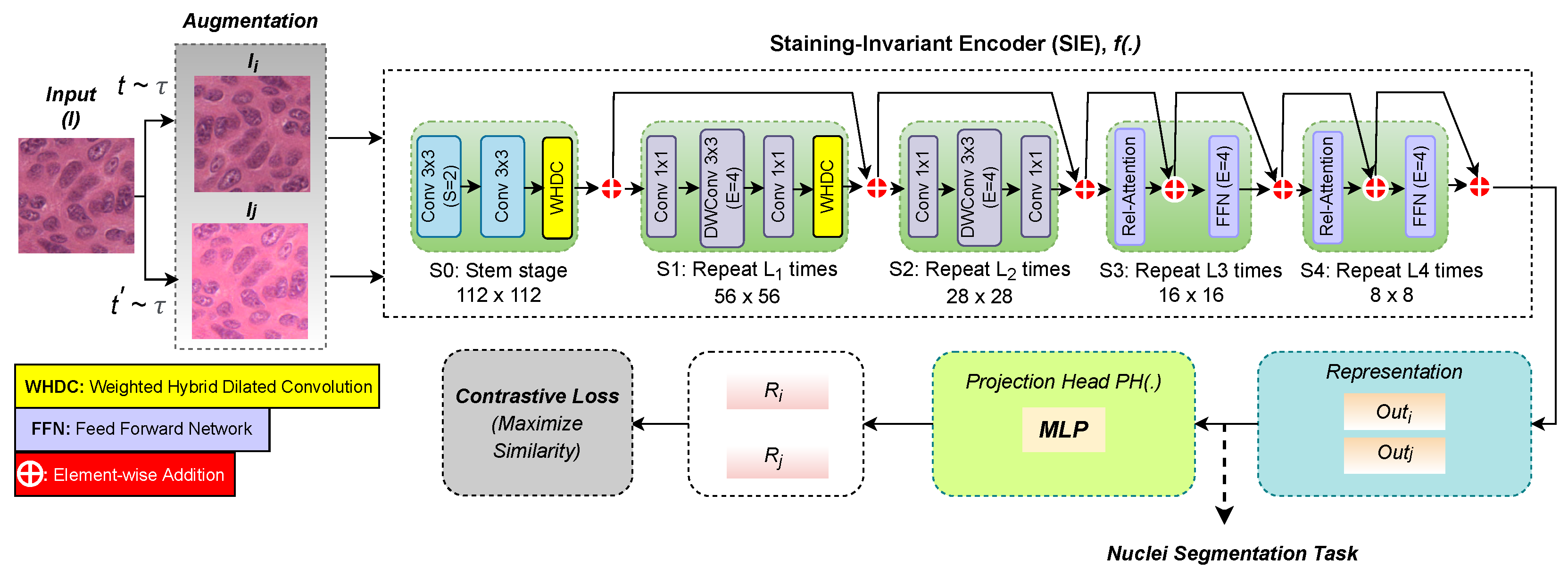 Diagnostics | Free Full-Text | Efficient Staining-Invariant Nuclei Segmentation Approach Using ...