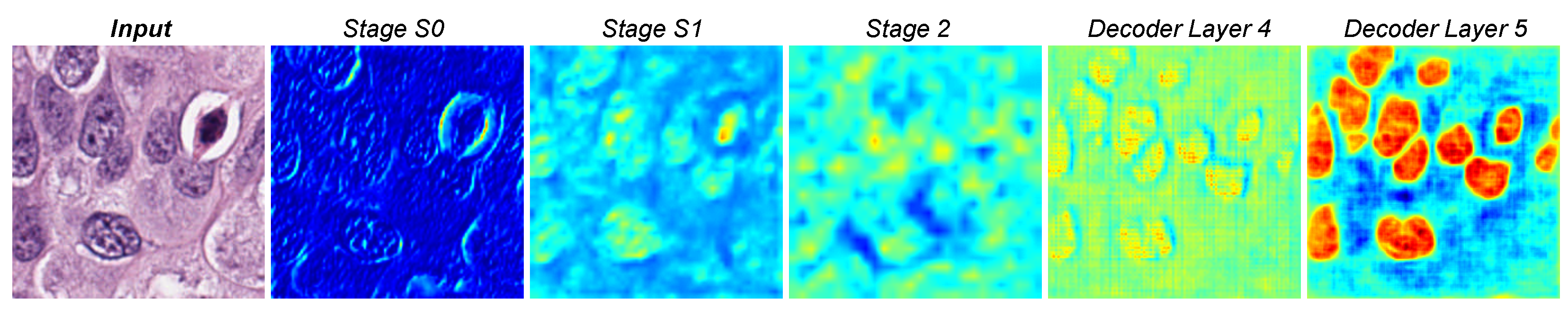 Diagnostics | Free Full-Text | Efficient Staining-Invariant Nuclei Segmentation Approach Using ...