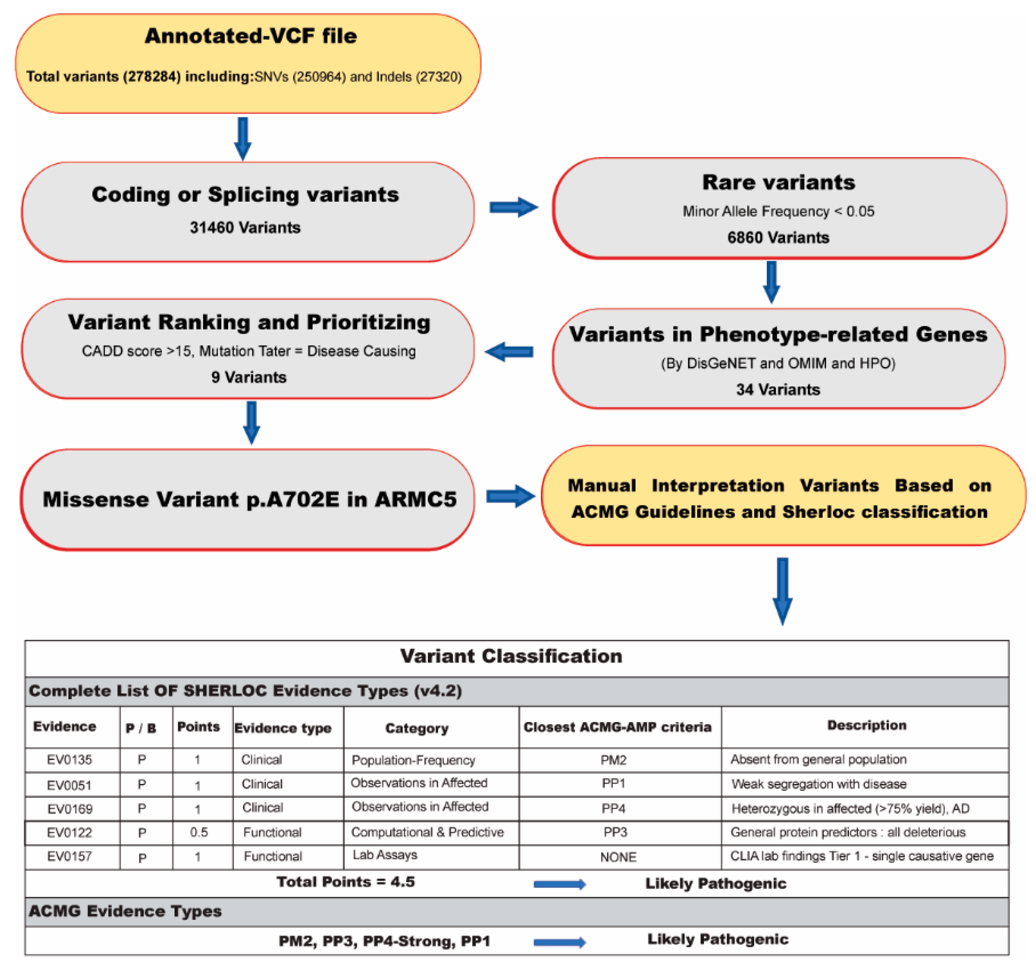 A Novel ARMC5 Germline Variant in Primary Macronodular Adrenal ...