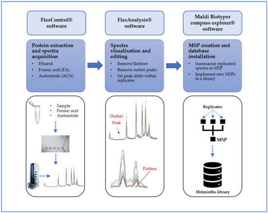 Recent Advances and Potential Future Applications of MALDI-TOF Mass ...