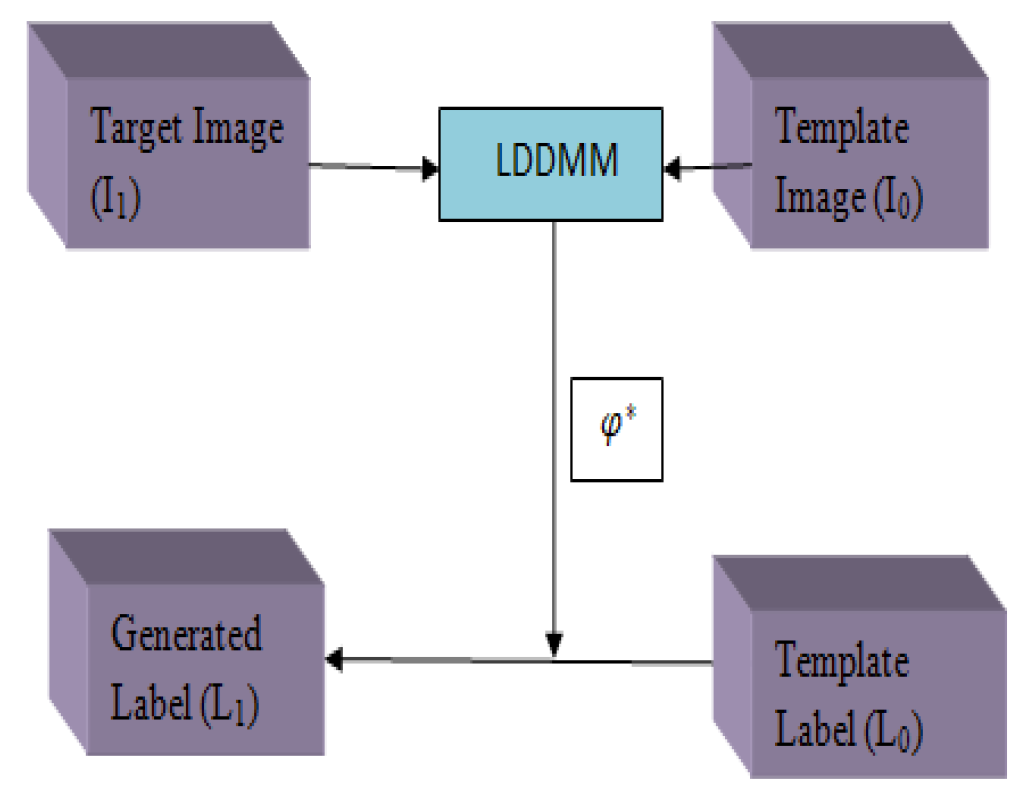 Review of Semantic Segmentation of Medical Images Using Modified Architectures of UNET
