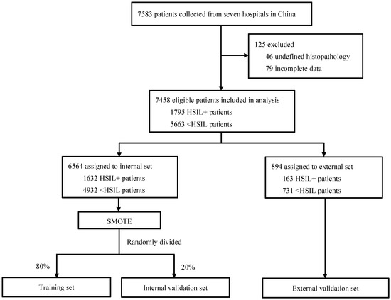 Evaluating the Feasibility of Machine-Learning-Based Predictive Models ...