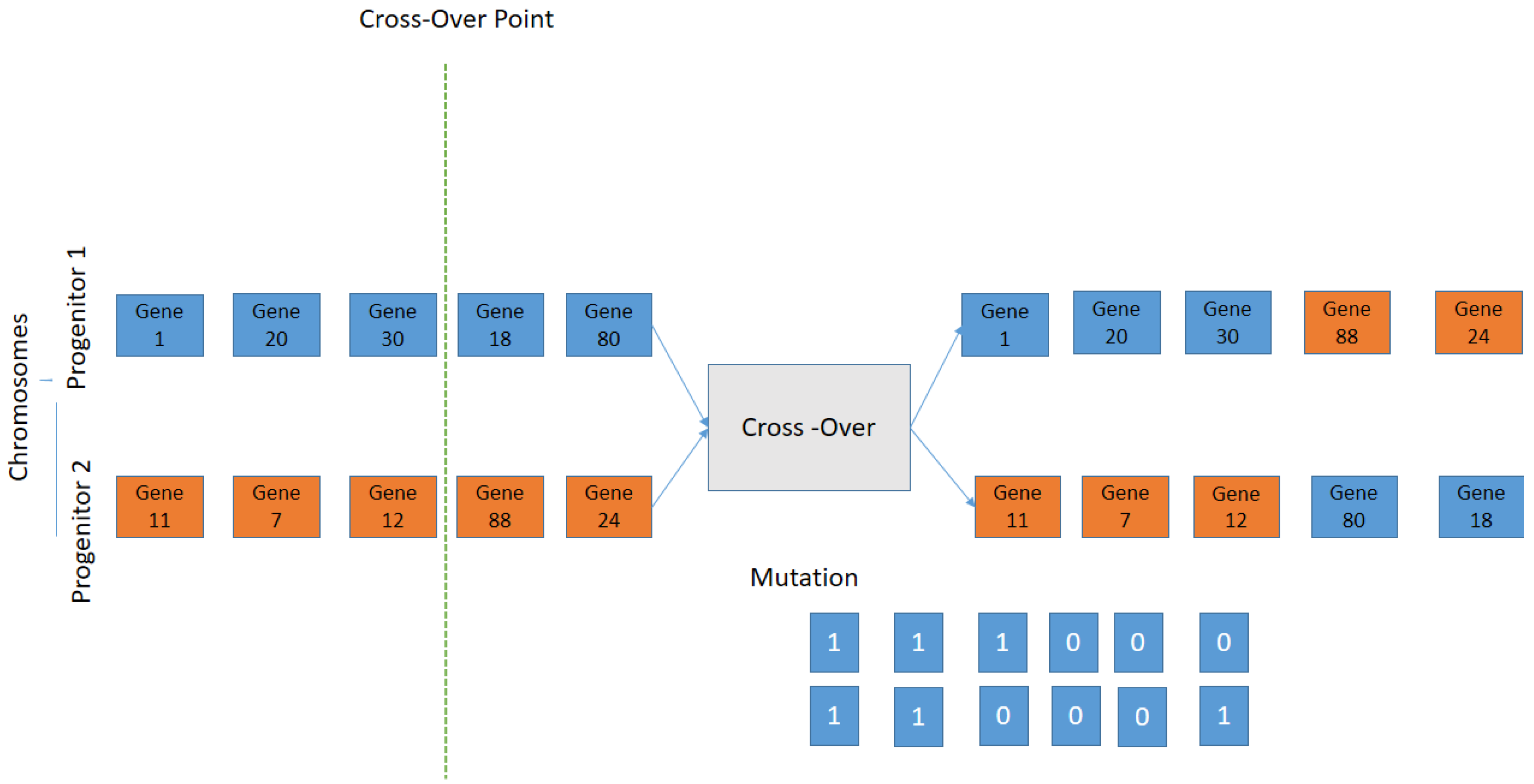 Breast Cancer Detection Using Automated Segmentation and Genetic Algorithms