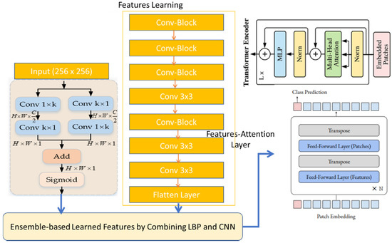 Diagnostics | Free Full-Text | Automatic Detection and Classification ...