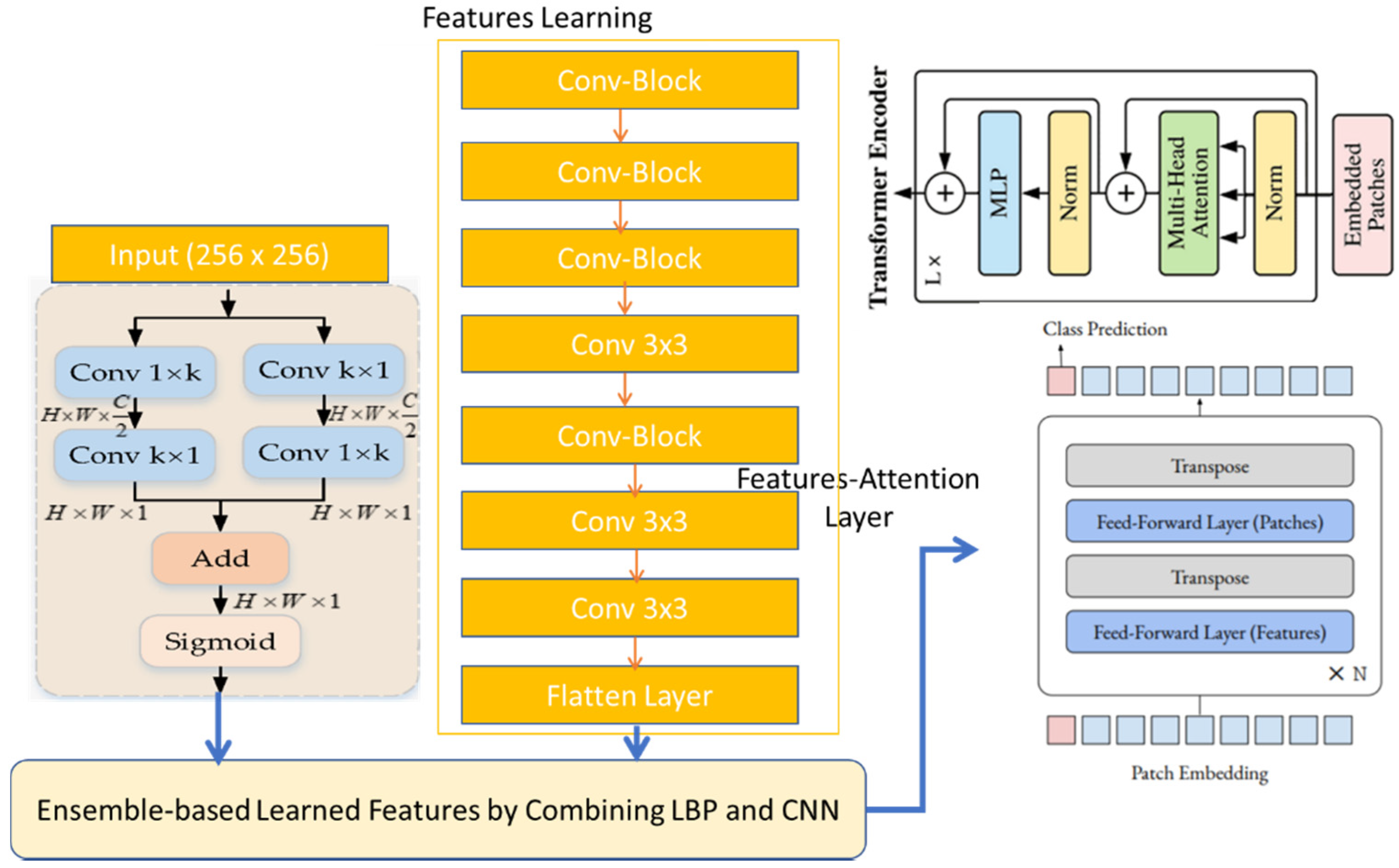 Diagnostics | Free Full-Text | Automatic Detection and Classification ...