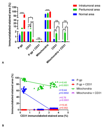 Differential P-Glycoprotein/CD31 Expression as Markers of Vascular Co ...
