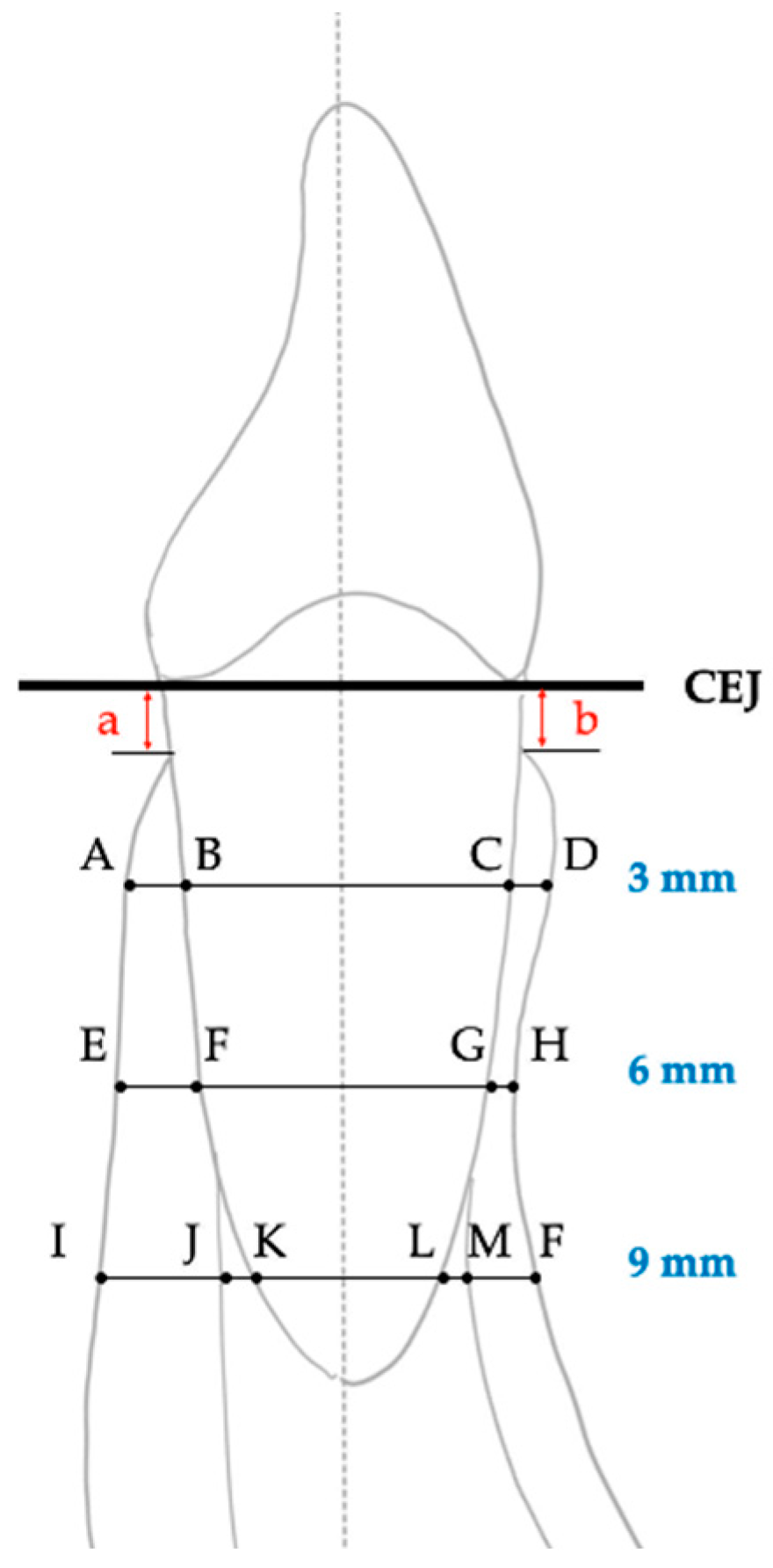 The Accuracy of Lateral Cephalogram for Measuring Alveolar Bone ...