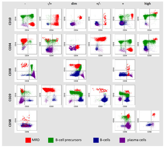 Immunophenotype of Measurable Residual Blast Cells as an Additional ...