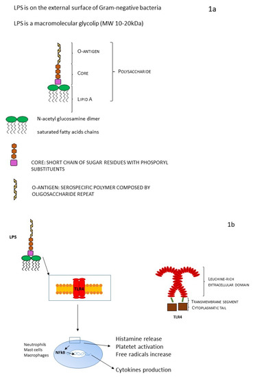 Endotoxin in Sepsis: Methods for LPS Detection and the Use of Omics ...