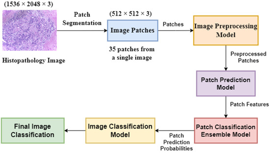 Diagnostics | Free Full-Text | A Multi-Stage Approach to Breast Cancer Classification Using ...