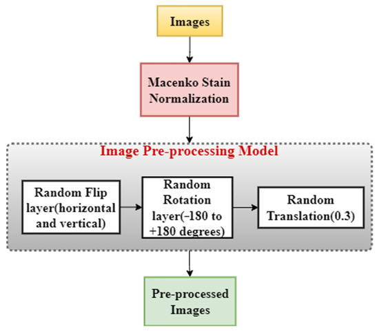 A Multi-Stage Approach to Breast Cancer Classification Using Histopathology Images