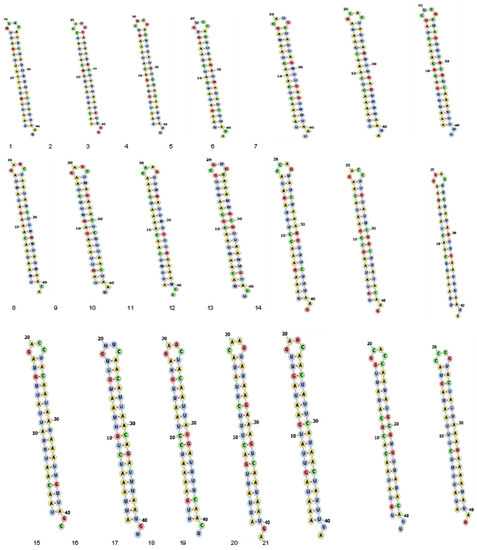 Computational Design and Experimental Evaluation of MERS-CoV siRNAs in ...