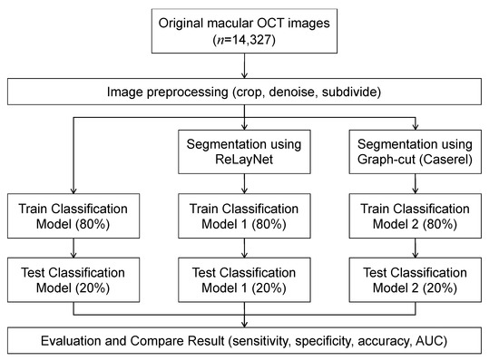 The Classification of Common Macular Diseases Using Deep Learning on Optical Coherence ...