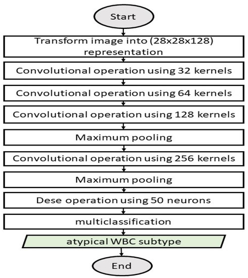 Diagnostics | Free Full-Text | Classification of Atypical White Blood Cells in Acute Myeloid ...