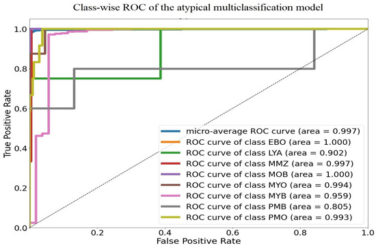 Classification of Atypical White Blood Cells in Acute Myeloid Leukemia ...