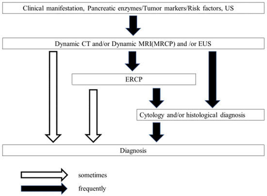 Current Status of the Diagnosis of Early-Stage Pancreatic Ductal ...