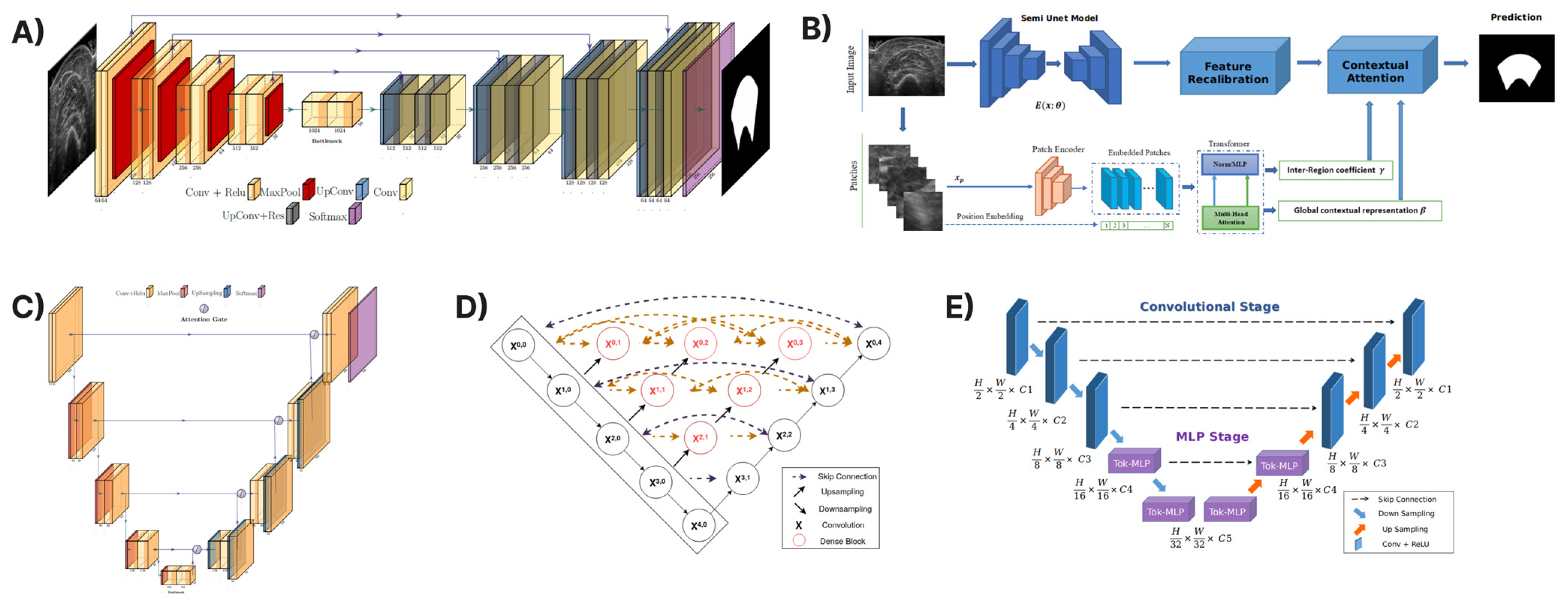 Muscle Cross-Sectional Area Segmentation in Transverse Ultrasound ...