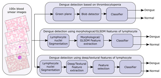Diagnostics | Free Full-Text | Machine Learning-Based Detection of ...